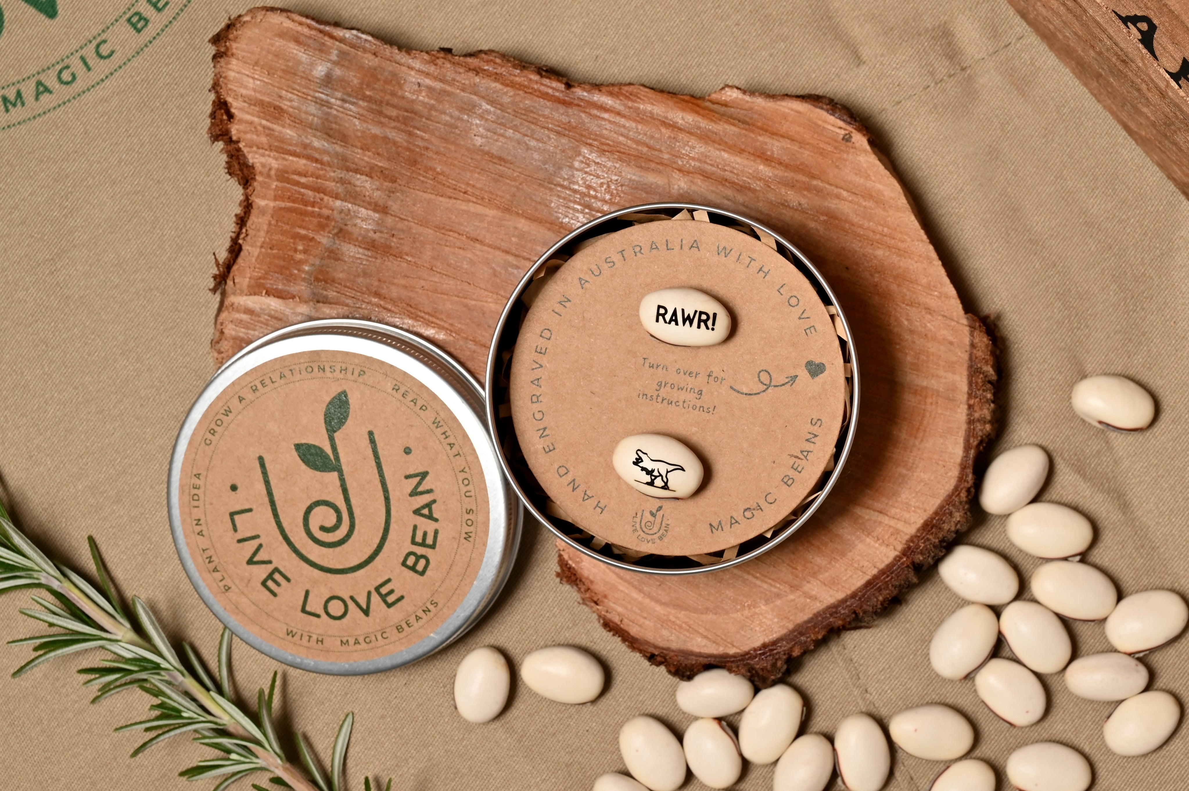 Rawr Bean With Dinosaur – Live Love Bean