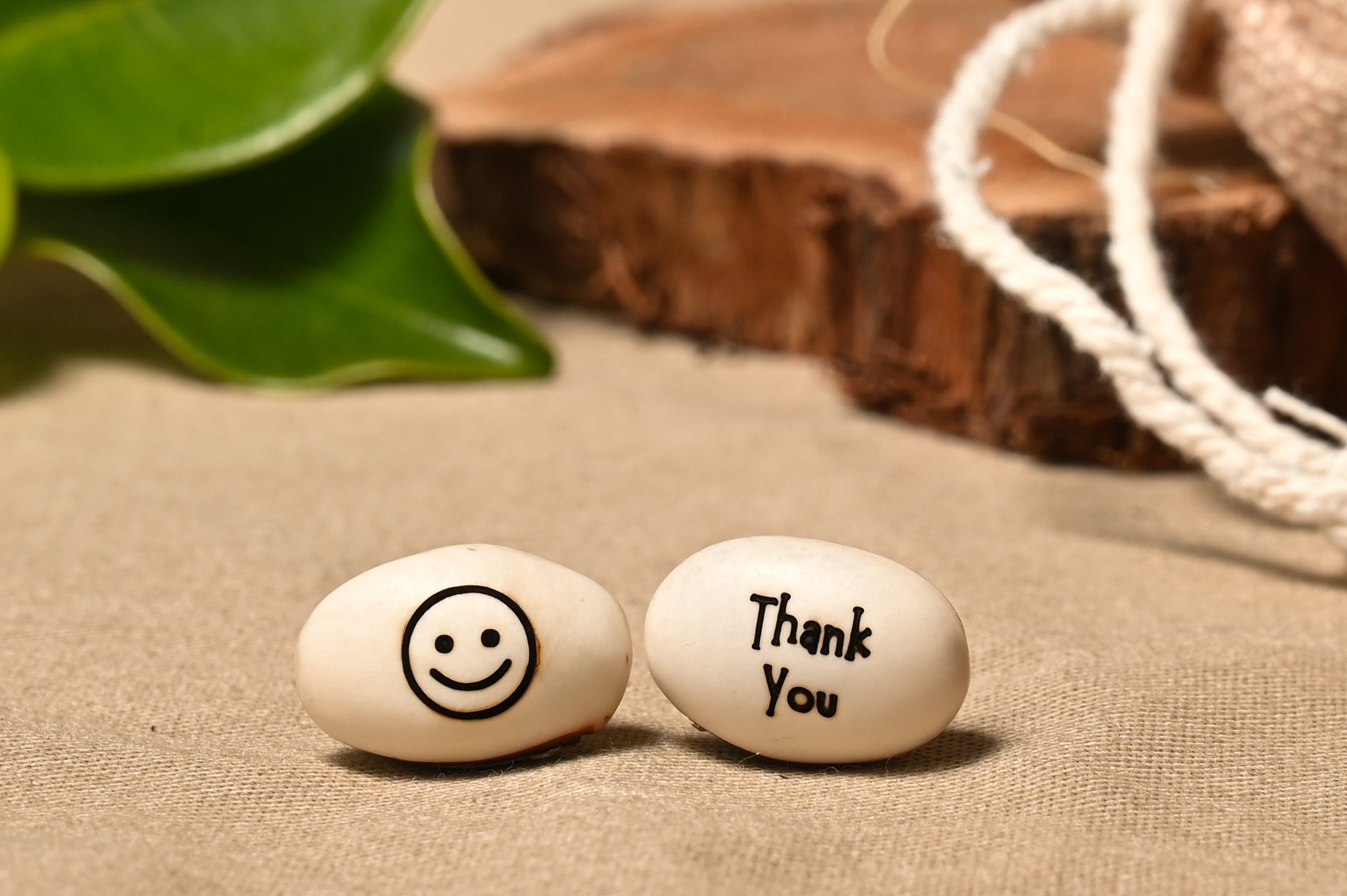 Thank You Bean With Smile – Live Love Bean