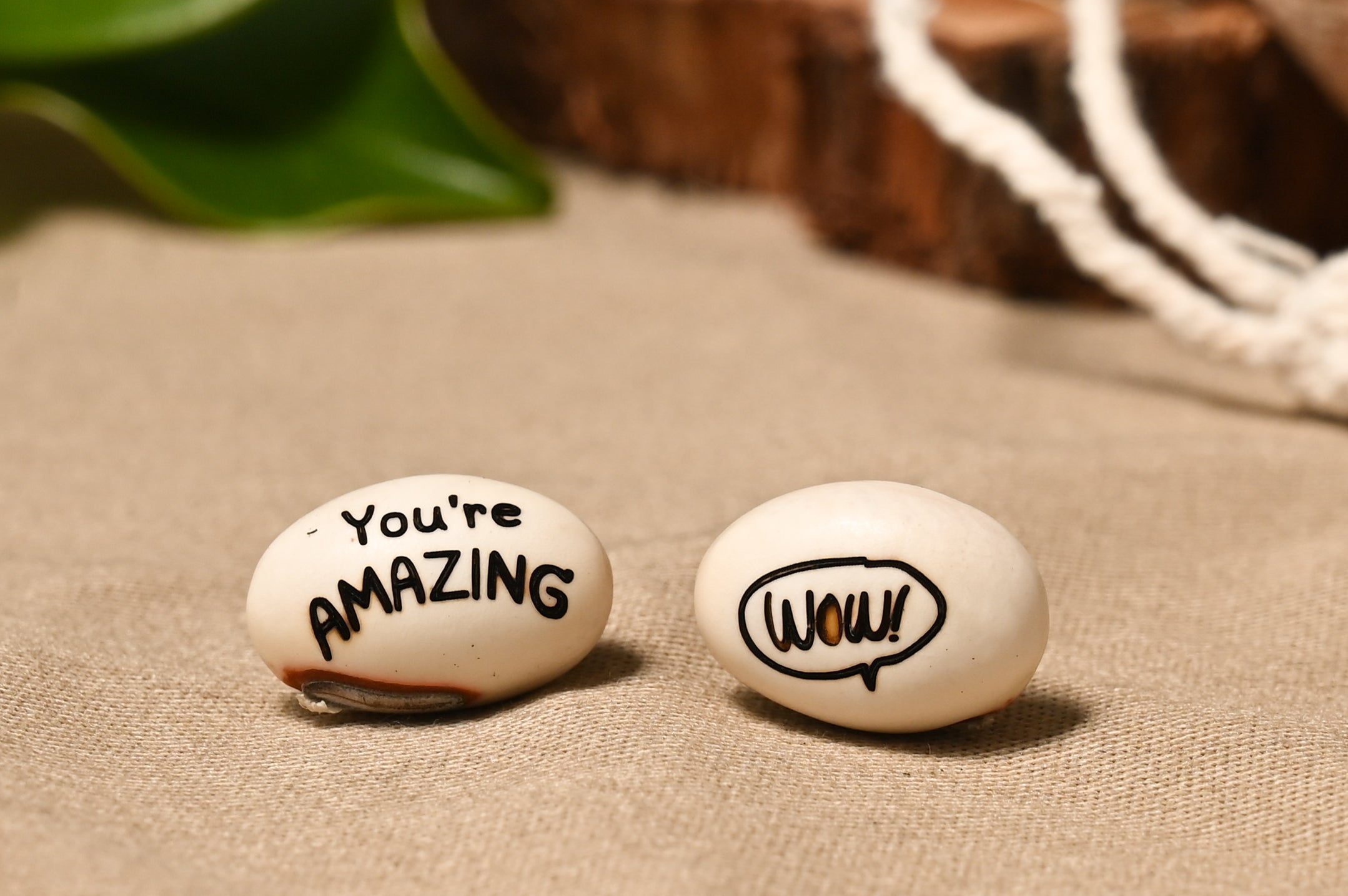 You're Amazing Gift Beans – Live Love Bean