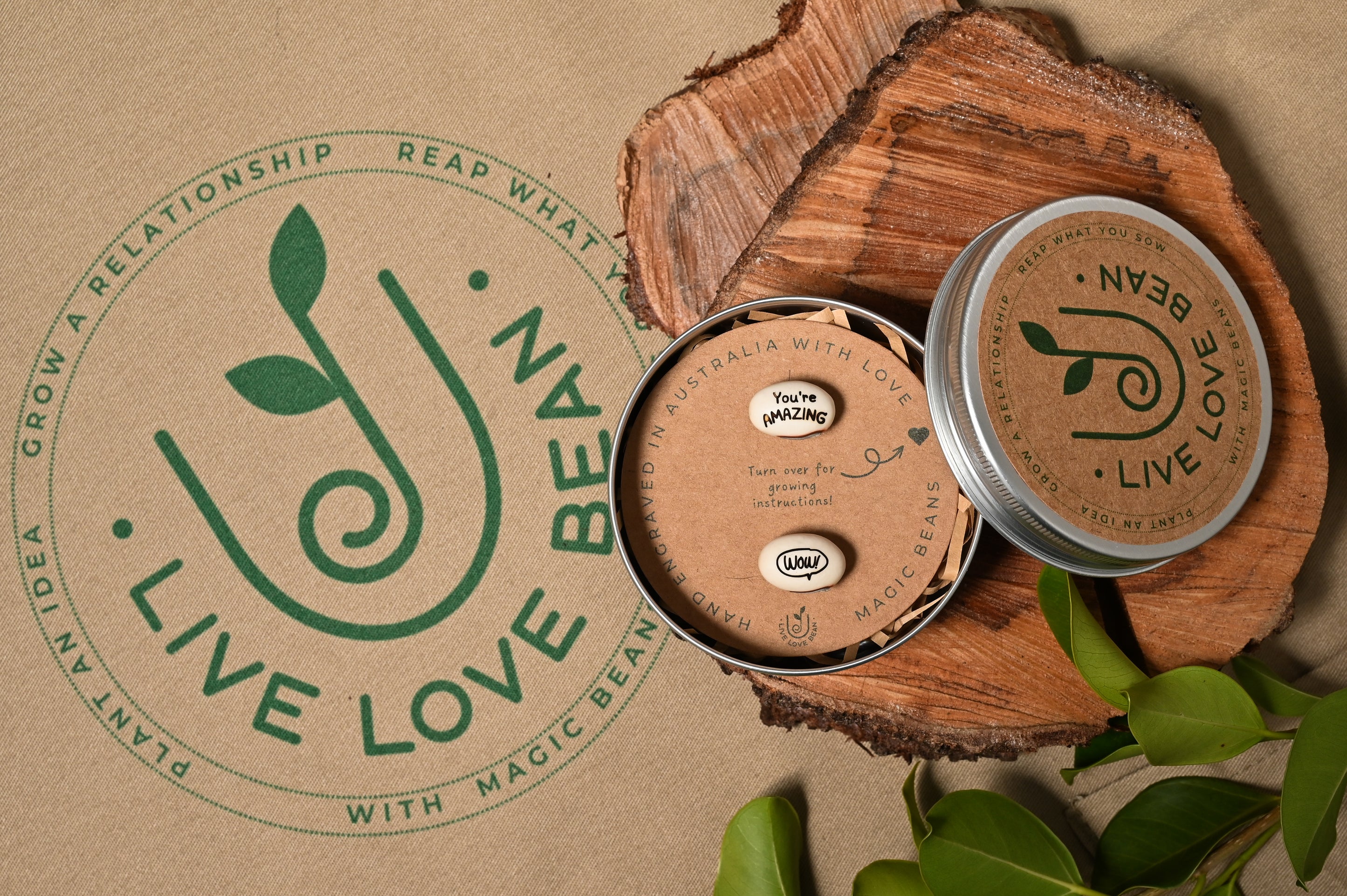 Magic Beans - Unique Gifts & Promotional Products – Live Love Bean