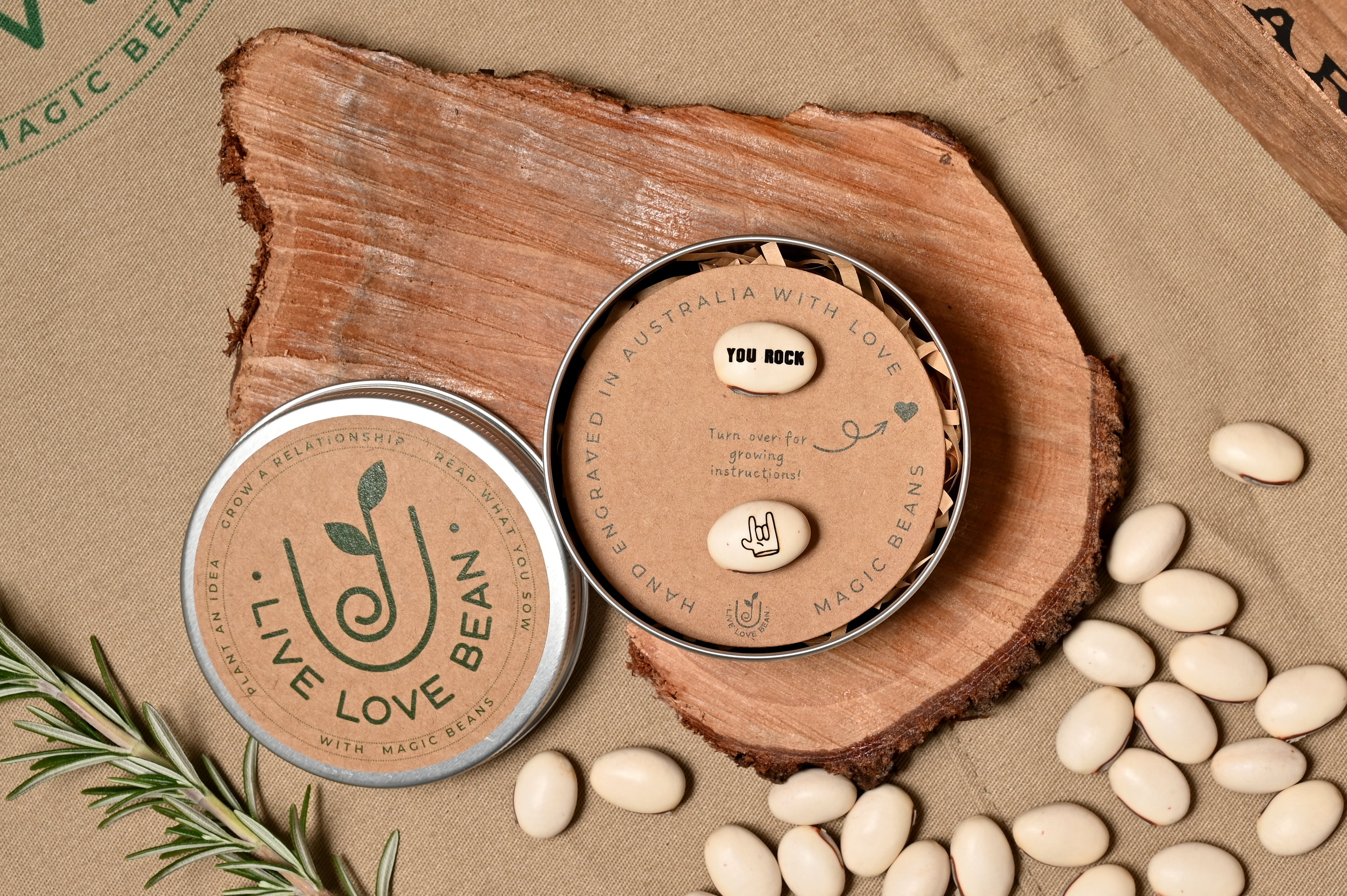 You Rock Bean – Live Love Bean