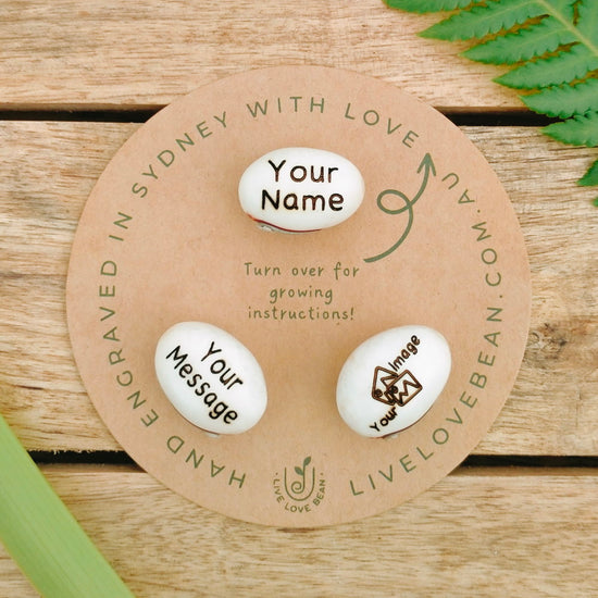 Magic Beans - Unique Gifts & Promotional Products – Live Love Bean